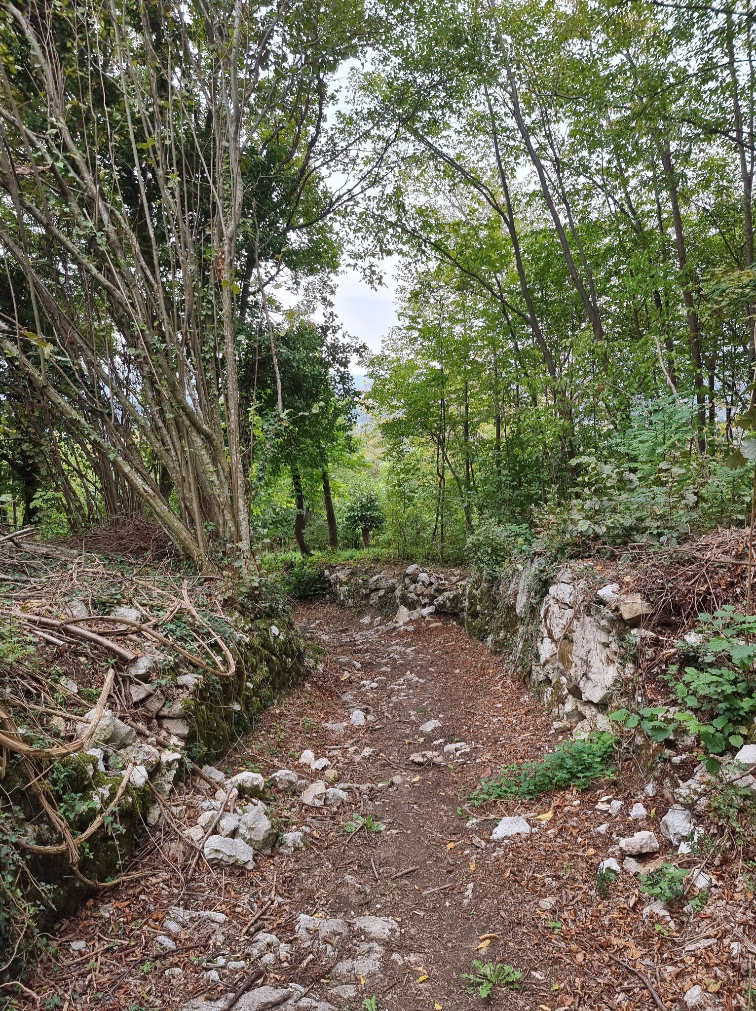 FREGONA – LA PANCHINA GIGANTE DI BORGO LUCA – Giugi On the Road