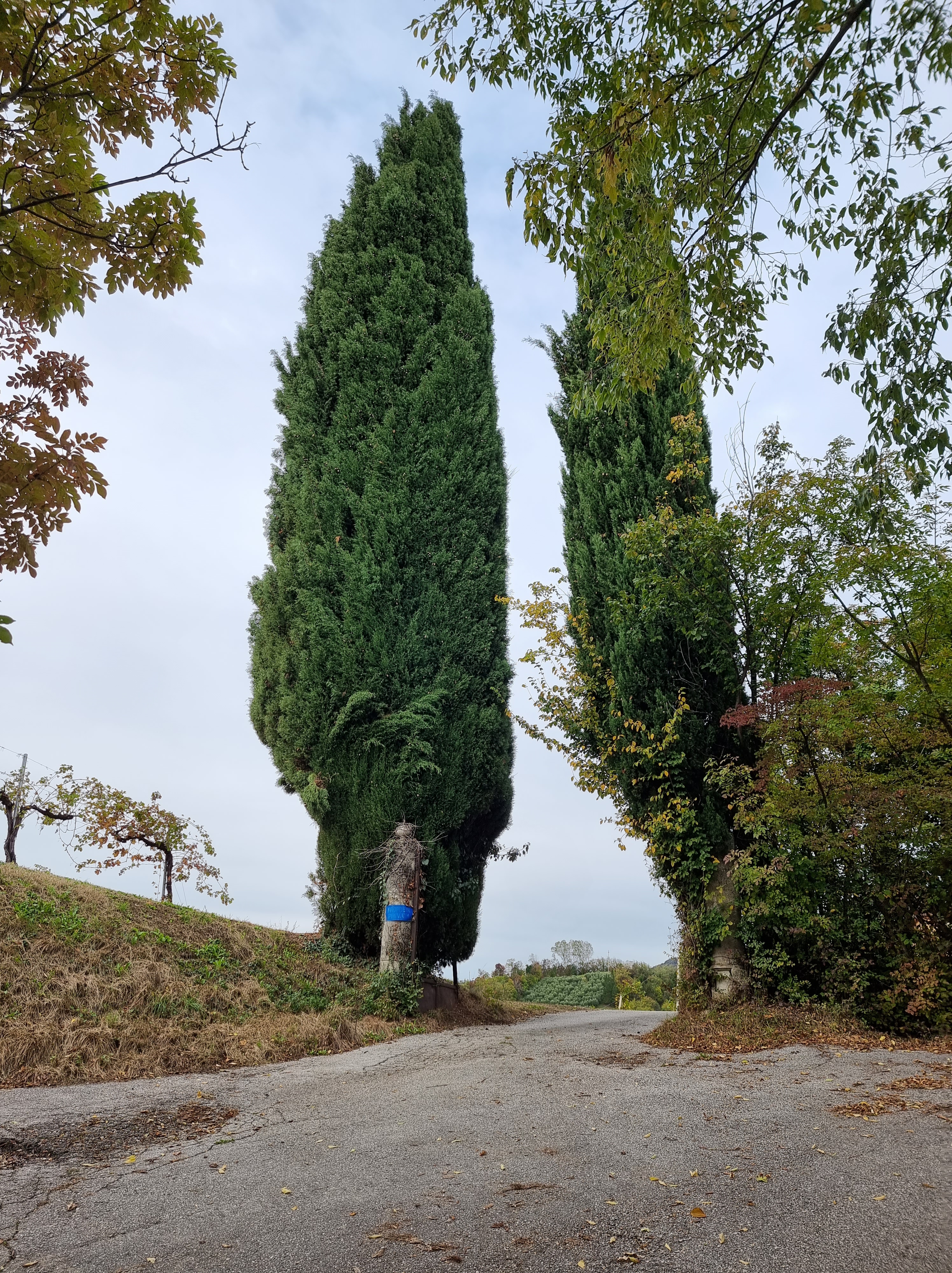 VITTORIO VENETO – ANELLO DELLE PERDONANZE – Giugi On the Road