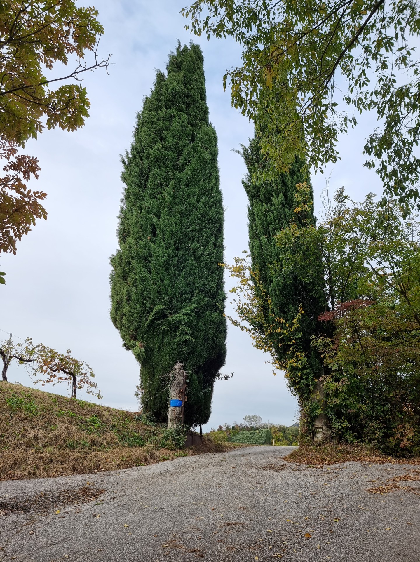 VITTORIO VENETO – ANELLO DELLE PERDONANZE – Giugi On the Road