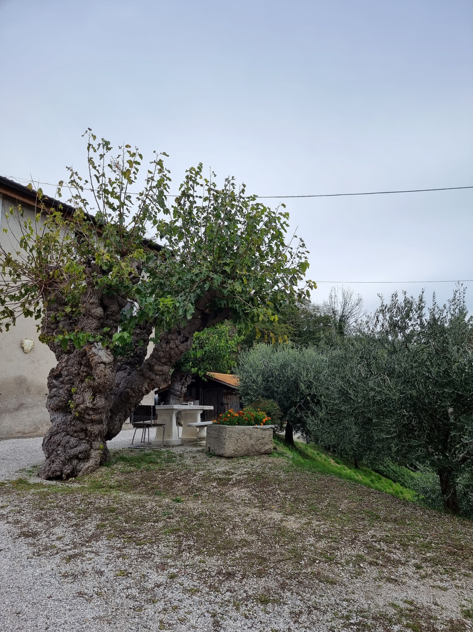 VITTORIO VENETO – ANELLO DELLE PERDONANZE – Giugi On the Road